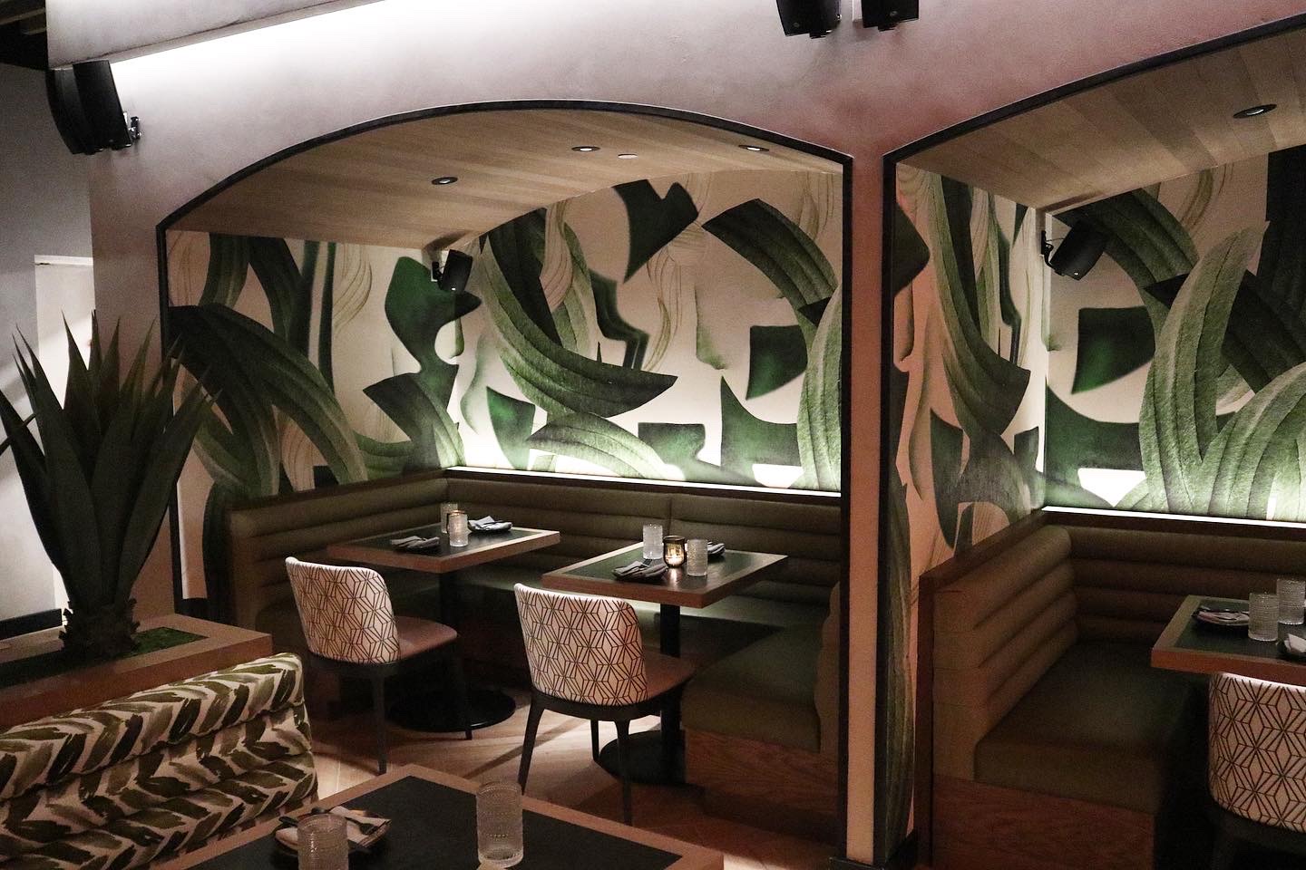 design et al Planta by Candice Kaye Design - design et al